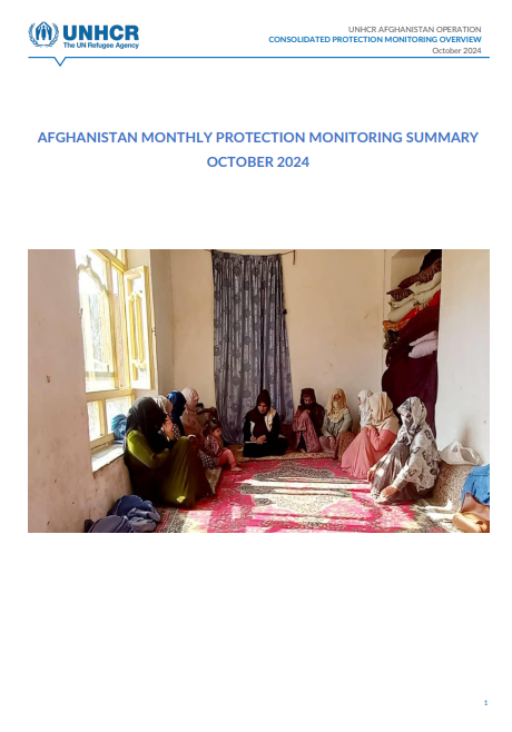 Afghanistan Monthly Protection Monitoring Summary October 2024 | UNHCR ...