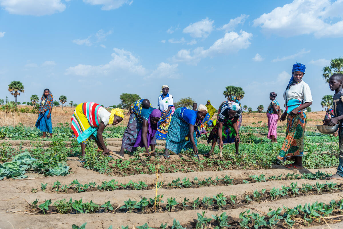 Ethiopia launches inclusive ID system for refugees, boosts access to ...