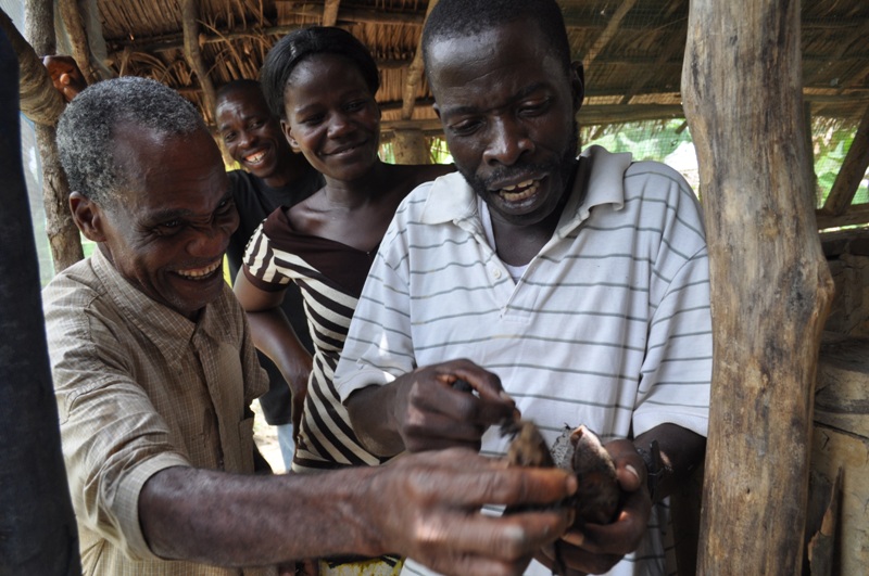 UNHCR prepares for Swaziland to take over all refugee services | UNHCR ...