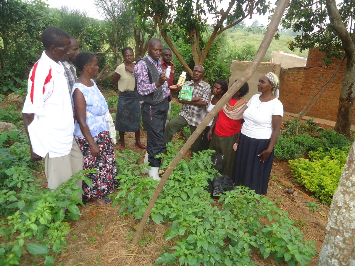 Uganda farming classes transform refugees into entrepreneurs | UNHCR Africa
