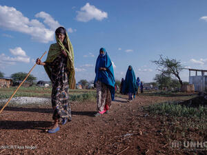 Refugees from Generation to Generation: Preventing Statelessness by ...