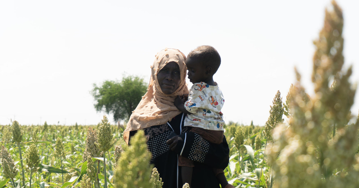 Powering resilience: Solar irrigation helps refugees and host ...