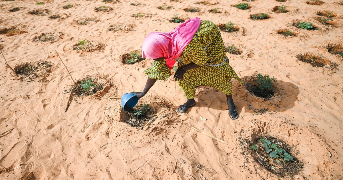 UNHCR launches fund to shield refugees and other displaced people from ...