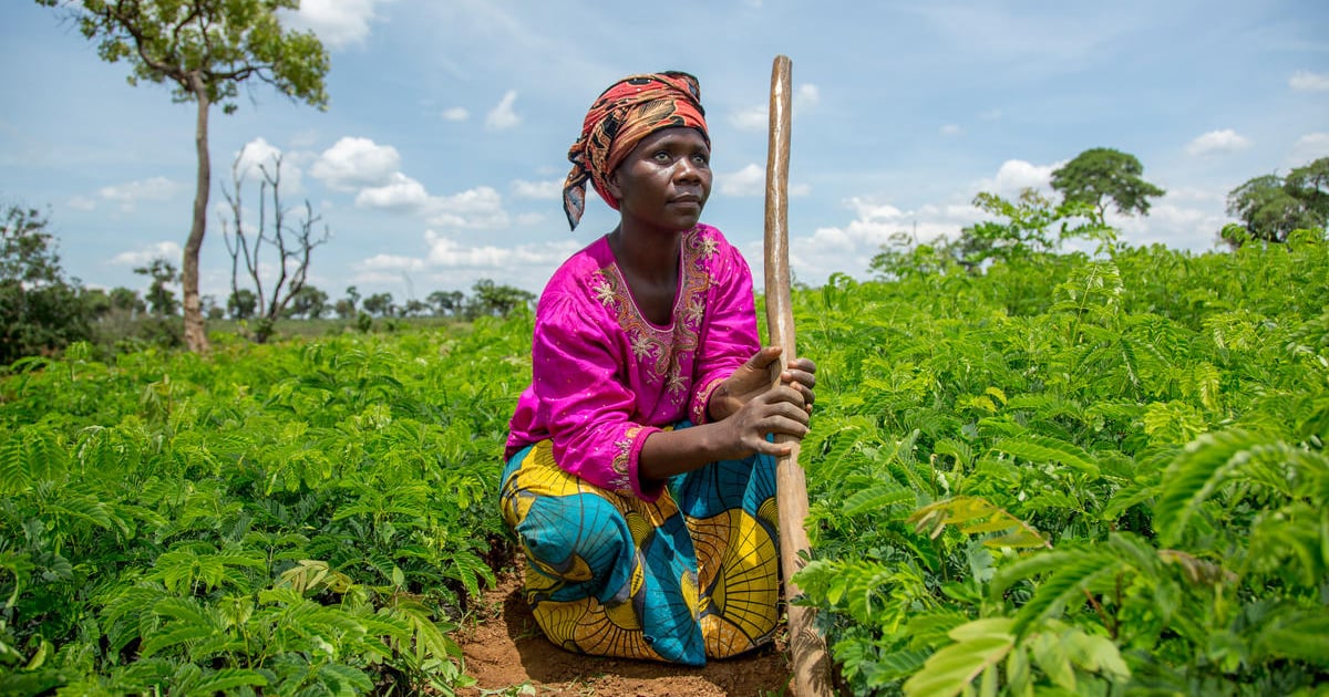 Saplings take root and transform lives in Tanzania | UNHCR Africa