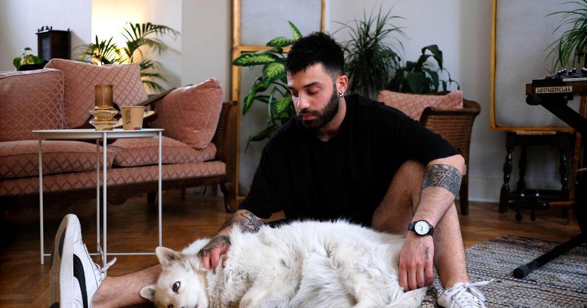Syrian musician and his dog reunited after journey to safety in Belgium ...