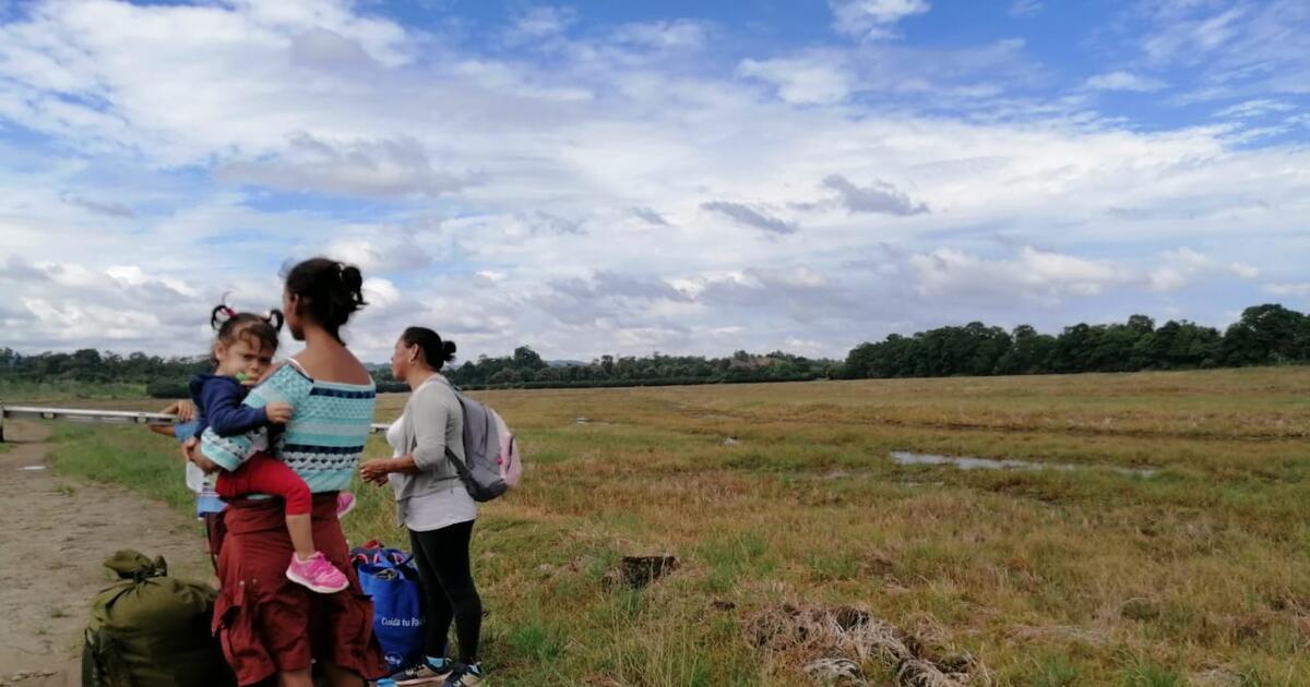 UNHCR releases new resource on asylum processing | UNHCR Australia