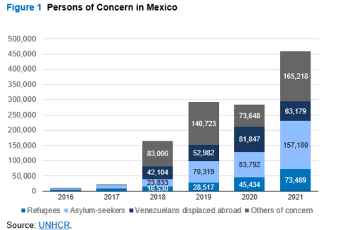 Displaced persons in Mexico face heightened insecurity due to COVID-19 ...