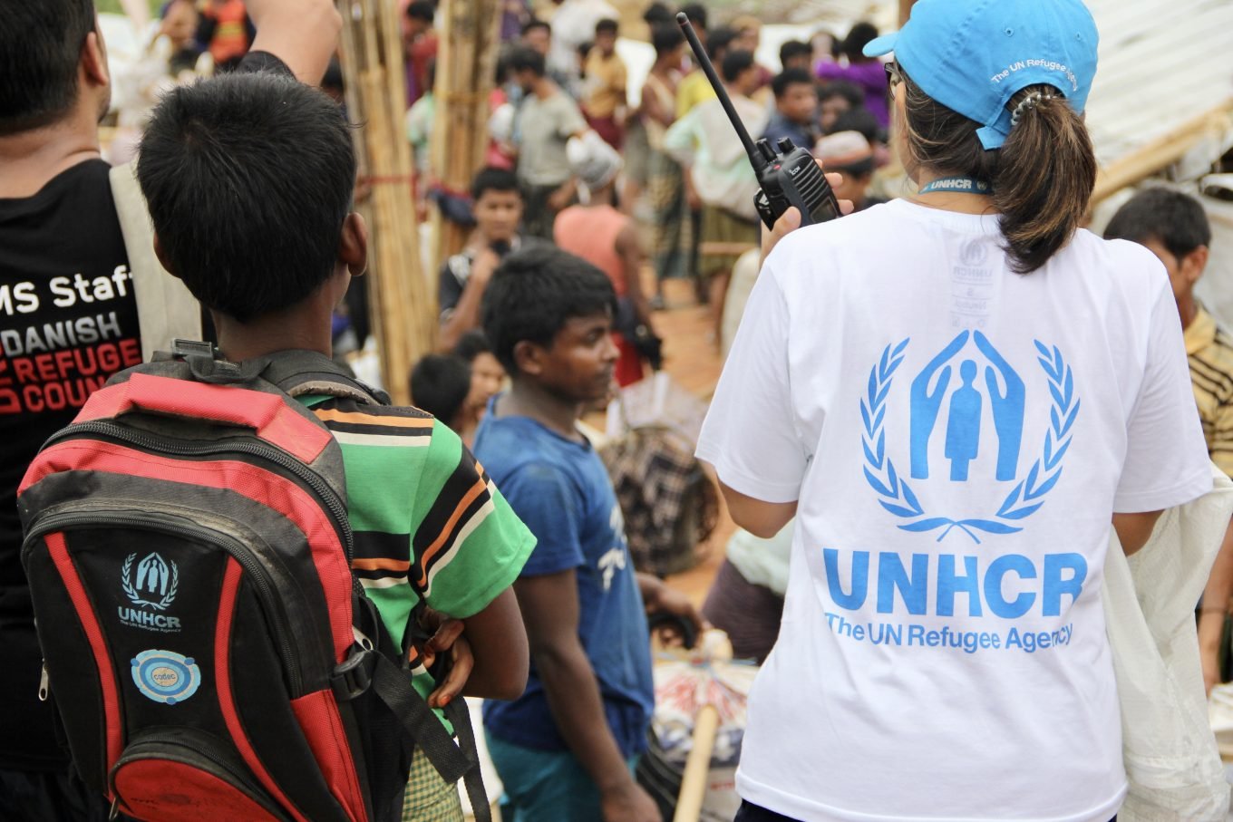 POLICY AND STANDARDS | UNHCR GBV Toolkit