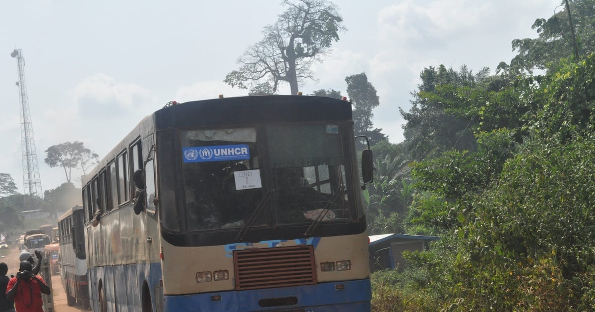 UNHCR steps up repatriation from Liberia to Côte d'Ivoire | UNHCR India
