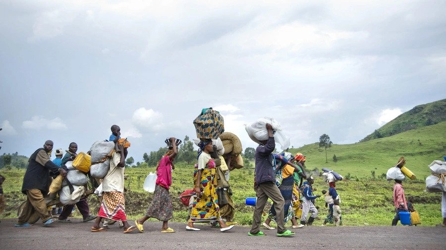 옹호 | UNHCR Republic of Korea