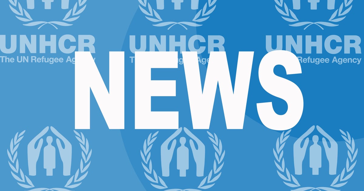 UNHCR: Hanya orang pelarian sah yang menerima kad UNHCR, bukan ...
