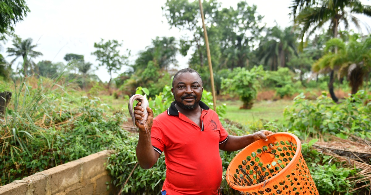 Strengthening Food Security Through Community Efforts by Refugees ...