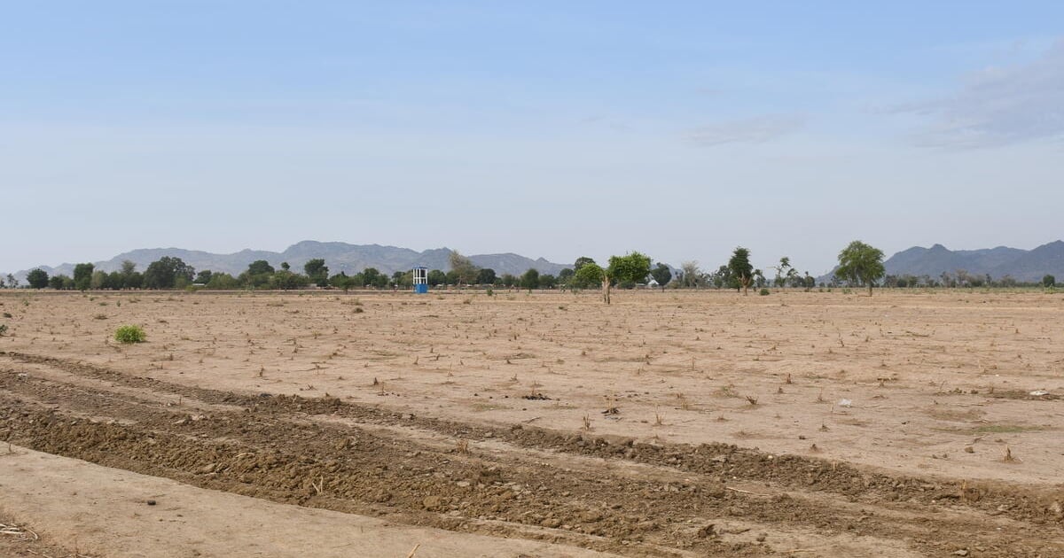 Protection Impact During the Lean Season | UNHCR Nigeria