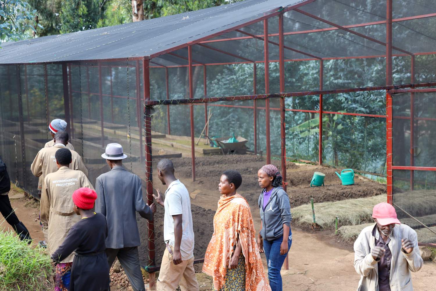 Refugees and locals join hands to restore the environment in Rwanda | UNHCR