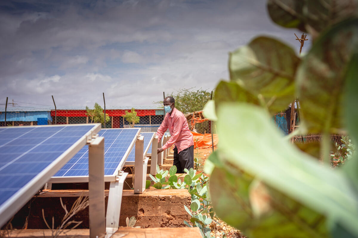 Greening UNHCR | UNHCR