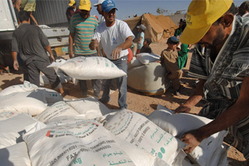 United Arab Emirates donates US$10 million to UNHCR for Iraq projects ...