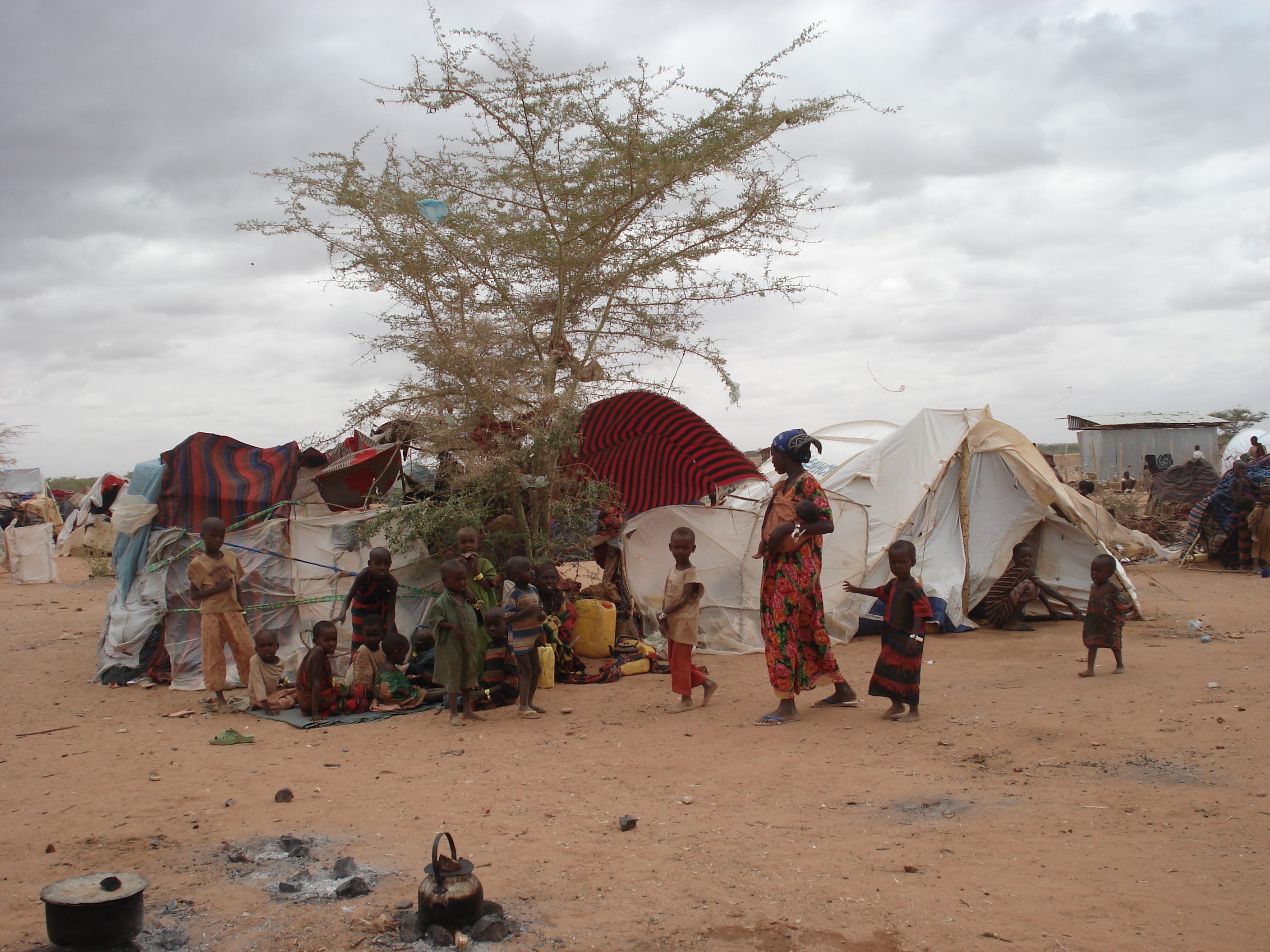 Somali refugees in Ethiopia's Dollo Ado exceed 150,000 as rains hit ...