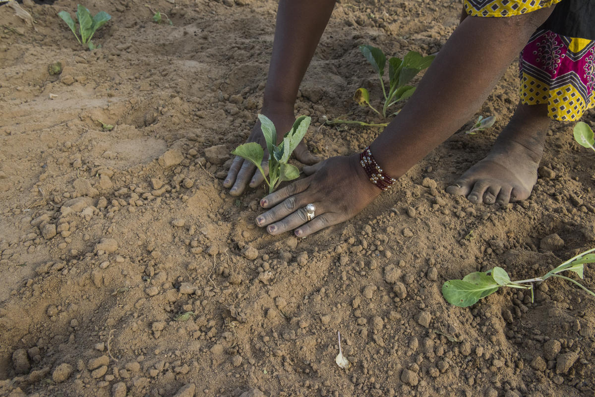 Bringing life back to a city in Mali ravaged by war | UNHCR