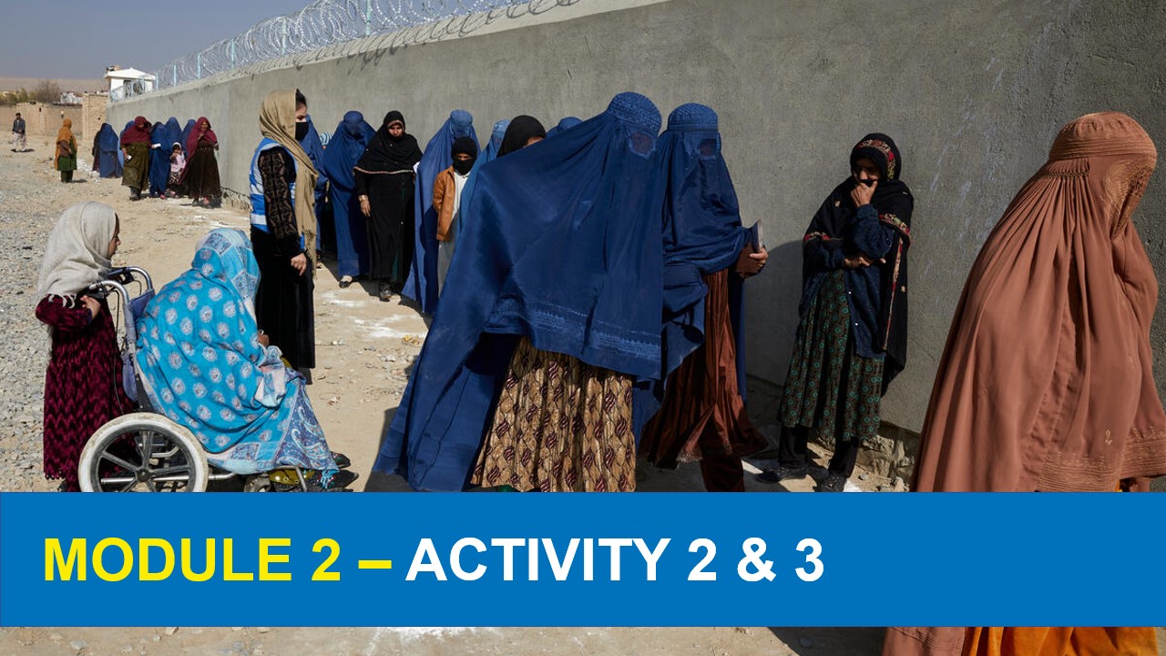 Strengthening protection of persons with disabilities in forced ...