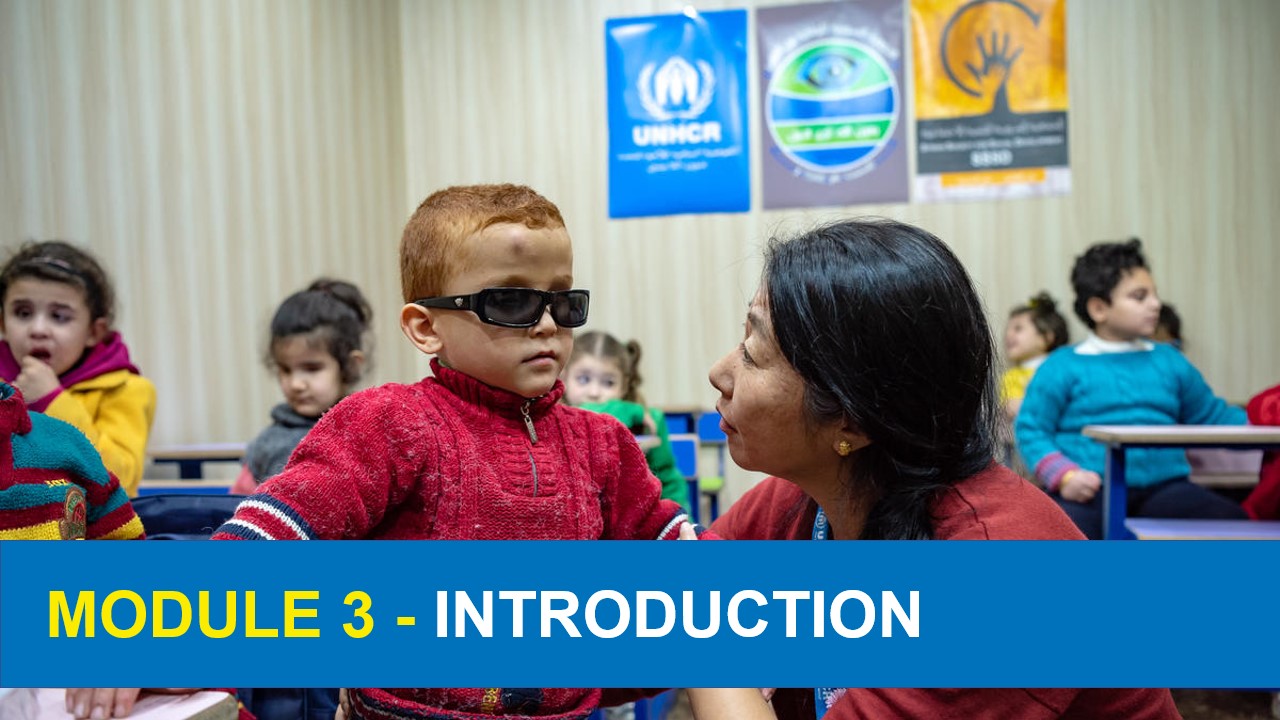 Strengthening protection of persons with disabilities in forced ...