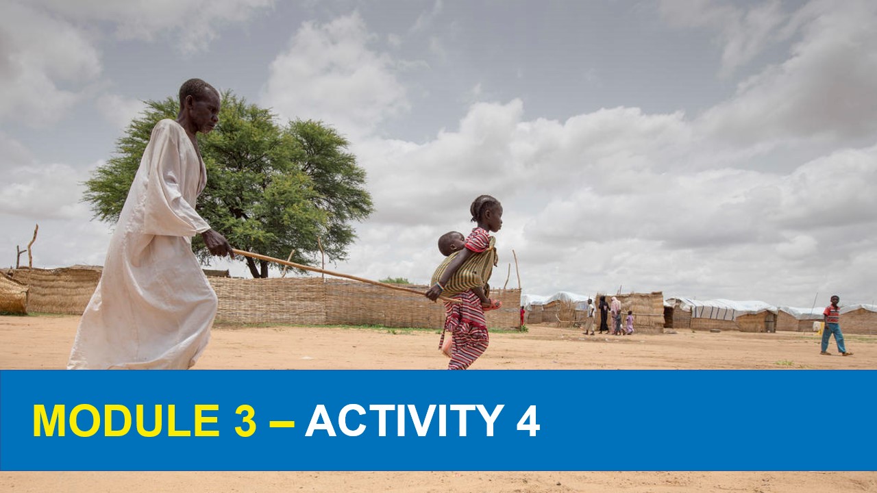 Strengthening protection of persons with disabilities in forced ...