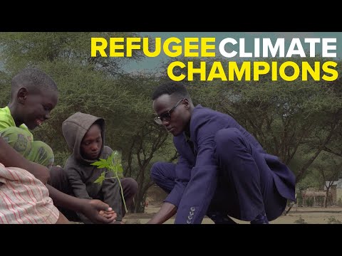 Young refugees champion climate action in Zimbabwe’s Tongogara camp | UNHCR