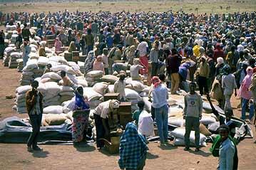 Unit plan for ages 12-14 in Geography: Living Conditions in Refugee ...