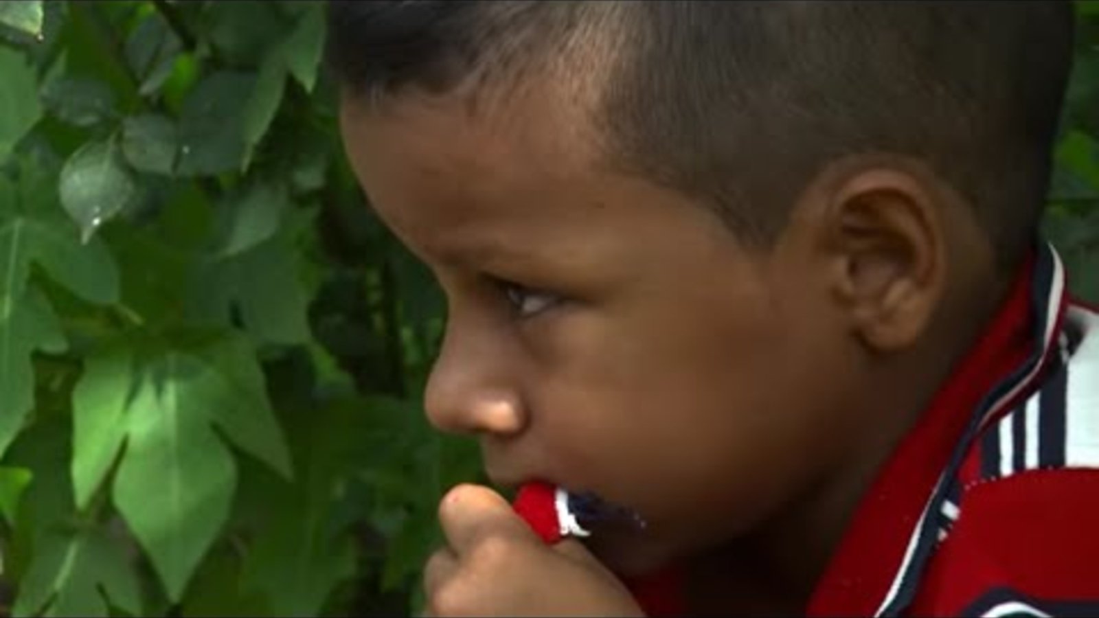 Solutions for Colombia's displaced key to peace, UNHCR chief | UNHCR