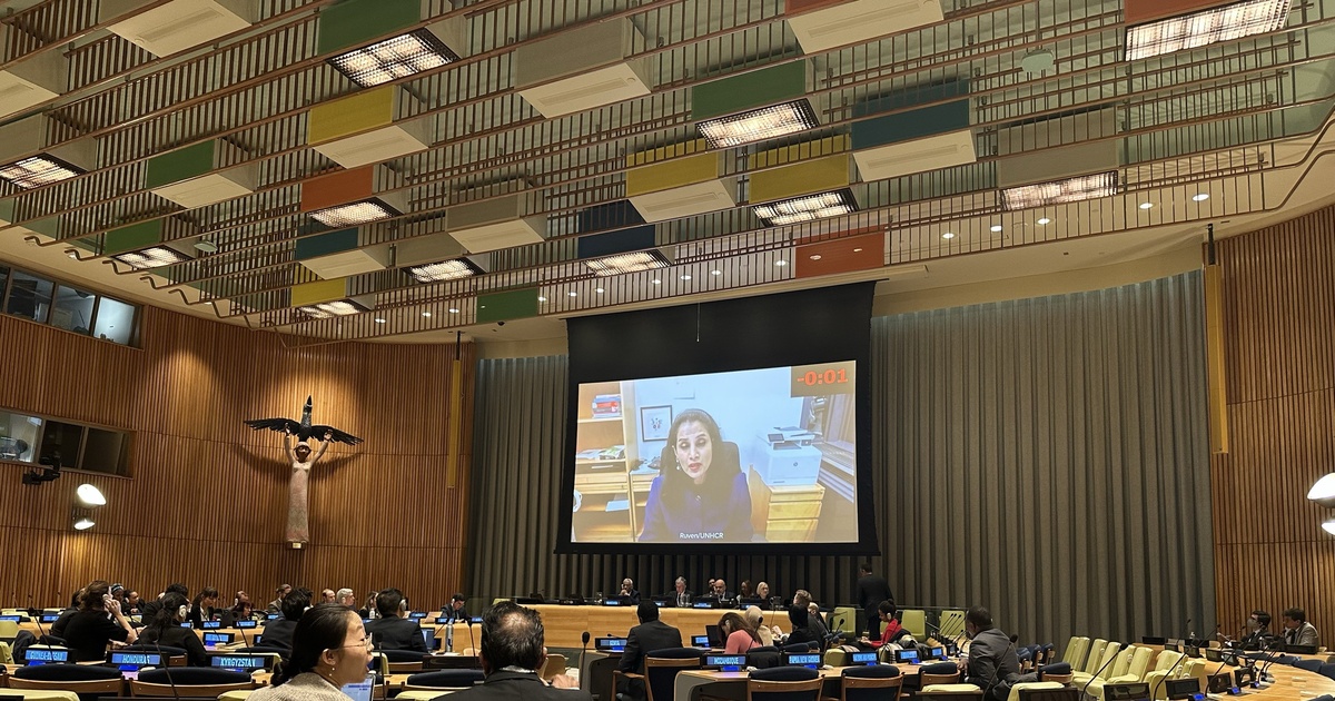 Statement by UNHCR Assistant High Commissioner for Protection to the ...