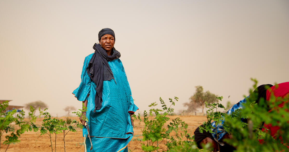 Niger | UNHCR