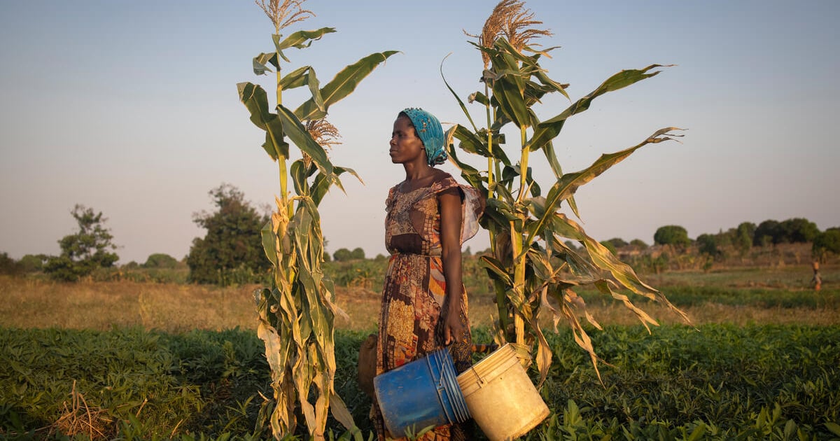 Climate change and displacement | UNHCR