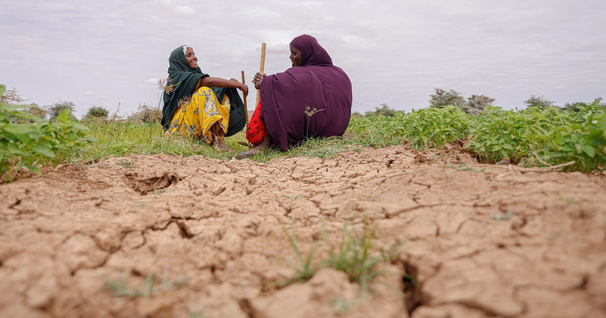 UNHCR report reveals extreme weather driving repeated displacement ...