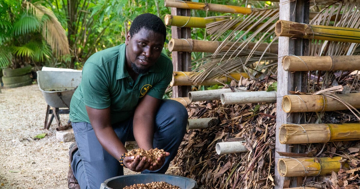 “Refugees for Climate Action” network launched at COP29 to champion ...
