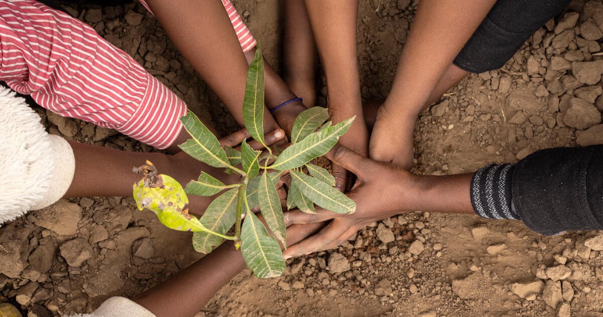 Young refugees champion climate action in Zimbabwe’s Tongogara camp | UNHCR