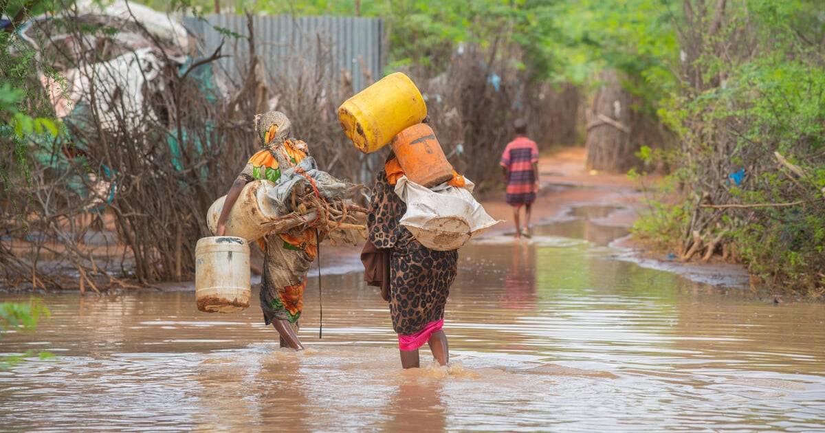 UNHCR calls for urgent global action at COP28, highlighting climate ...
