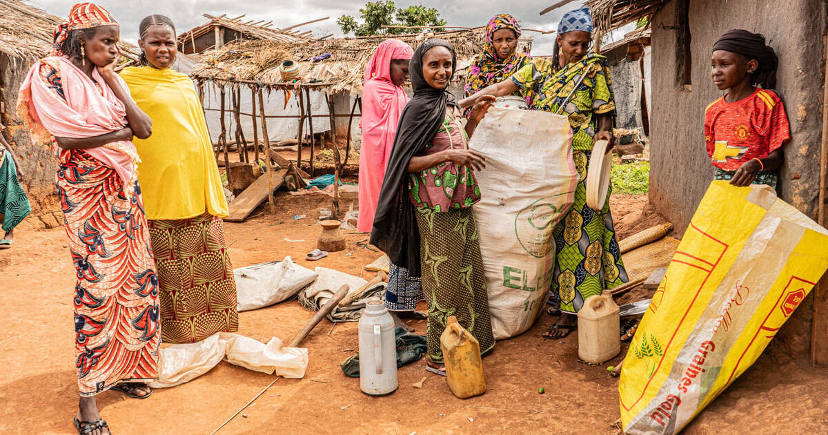 Central African refugees return home from Cameroon after a decade in ...