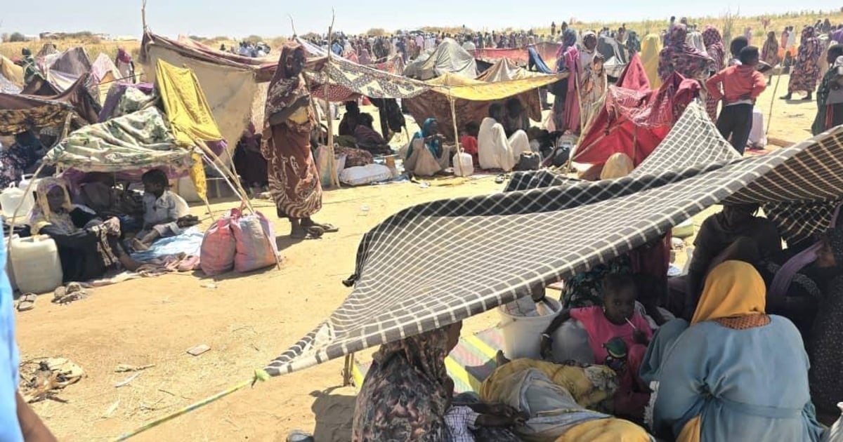 UNHCR, the UN Refugee Agency | UNHCR