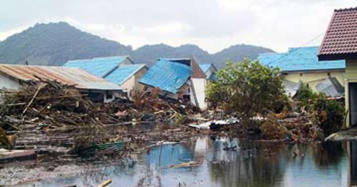 Massive UNHCR airlift gets underway for tsunami victims | UNHCR