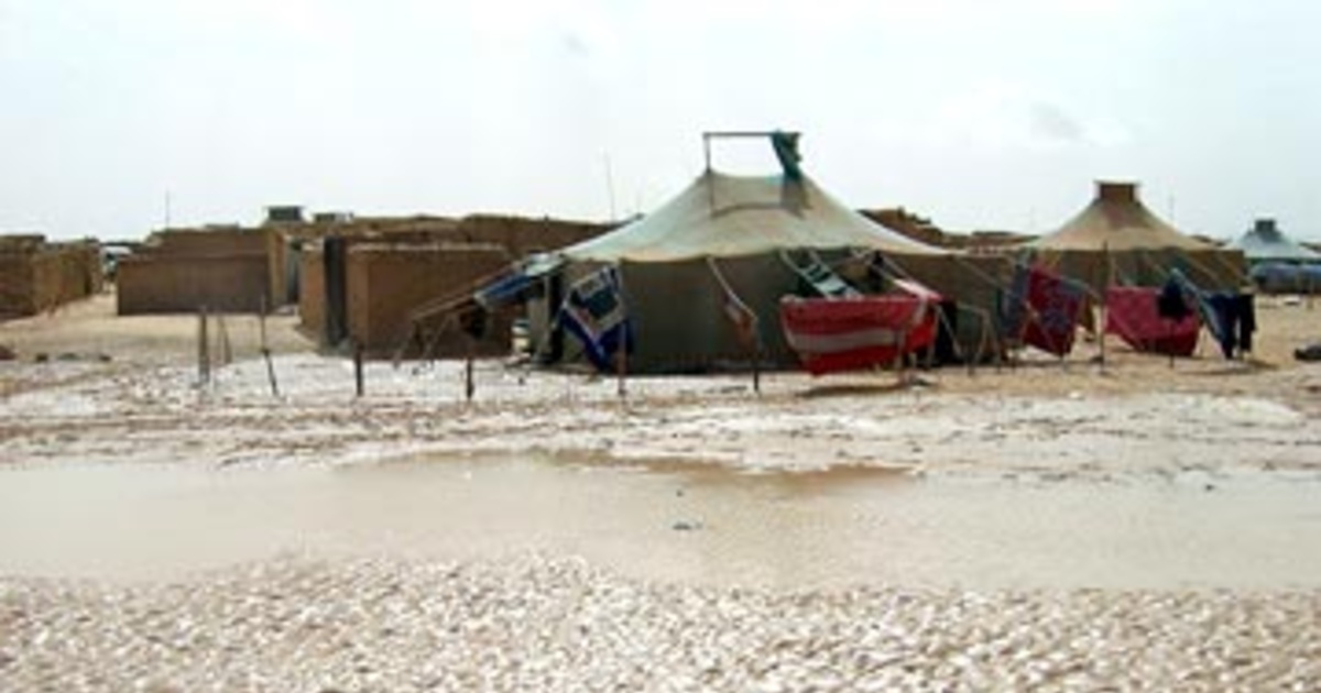 Rare torrential rains leave 50,000 Sahrawi refugees in Algeria homeless ...