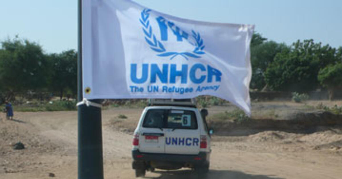 UNHCR drivers pay heavy price in black week for UN refugee agency | UNHCR