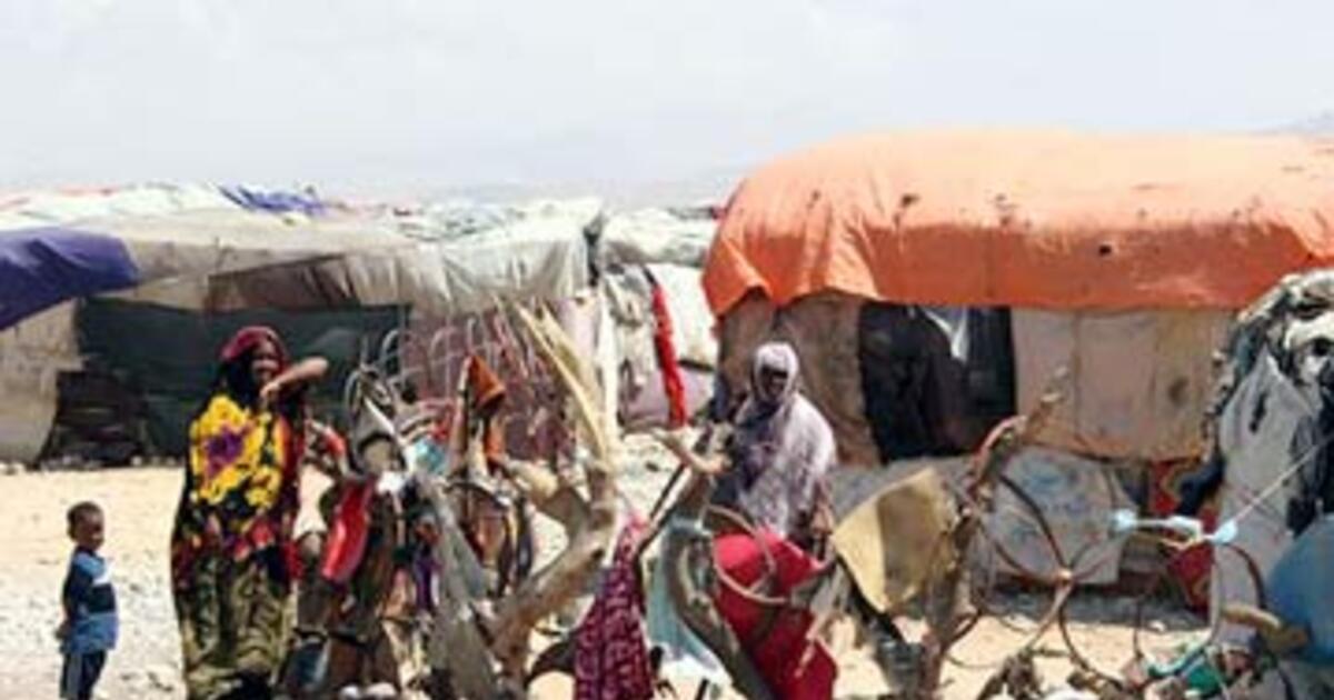 Le port de Bossasso en Somalie, improbable eldorado des déracinés | HCR