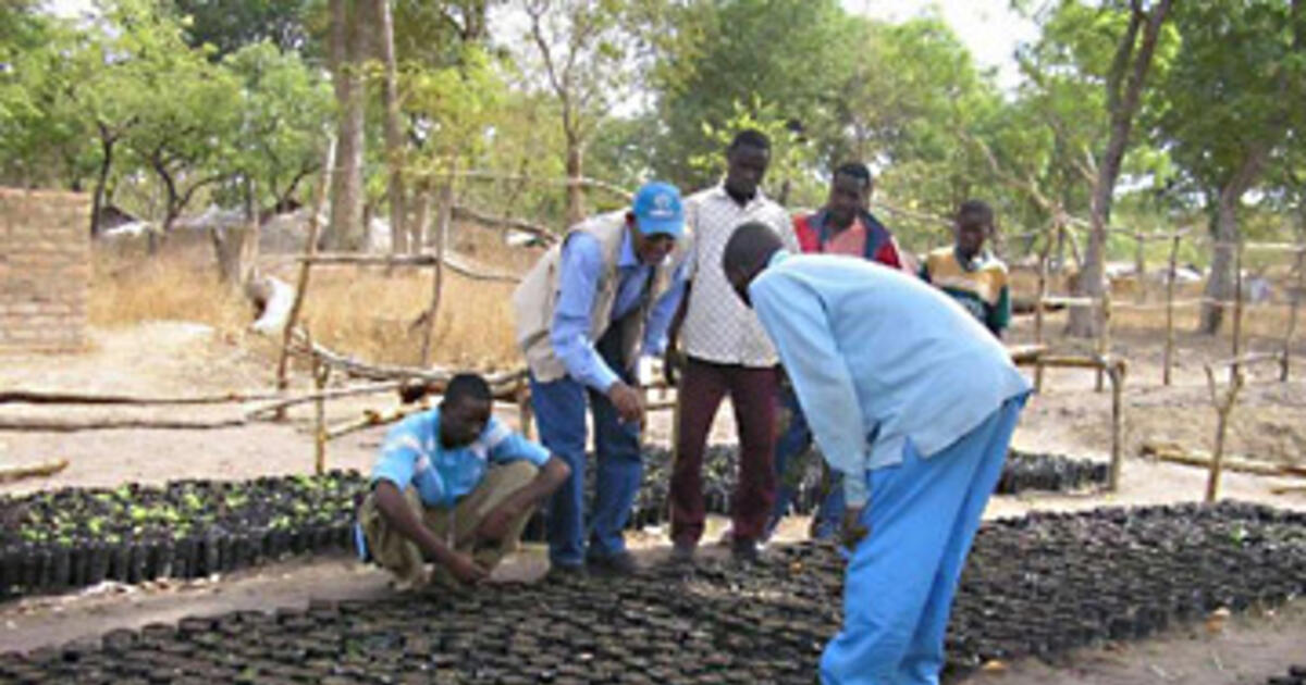 Est du Tchad : le HCR et les réfugiés luttent contre l'avancée du ...