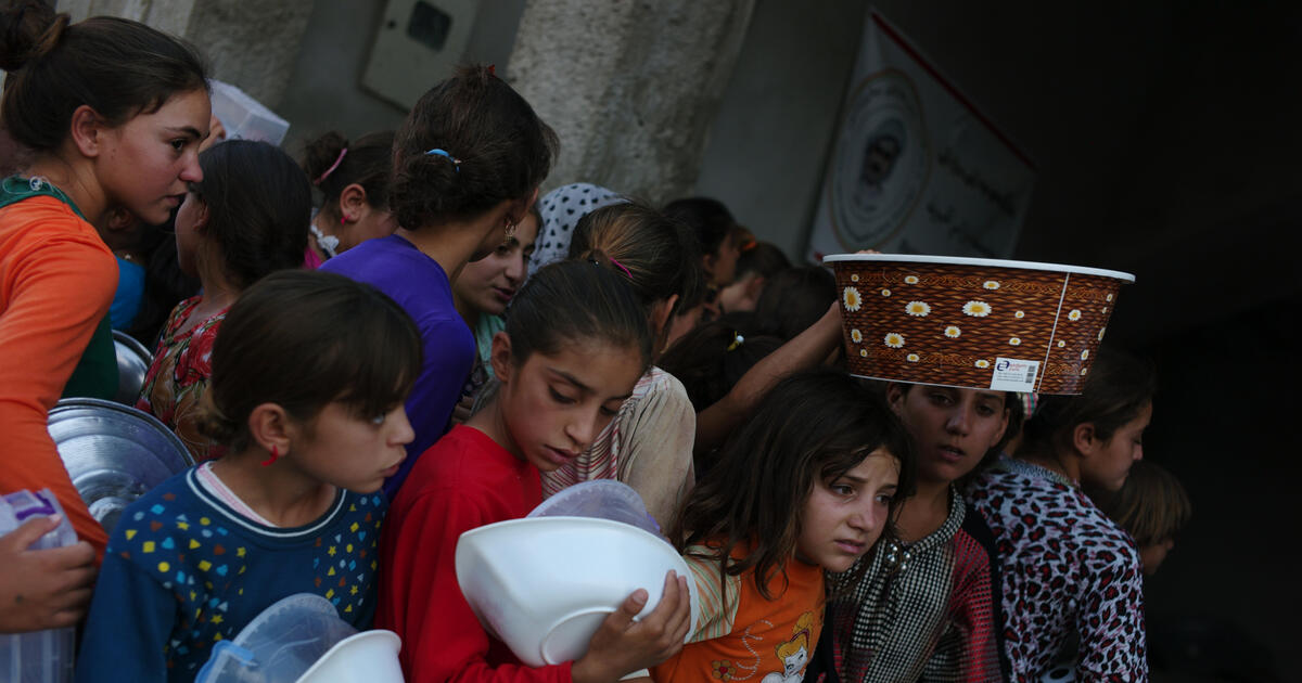 Shelter needs acute in northern Iraq as UNHCR steps up aid operation ...