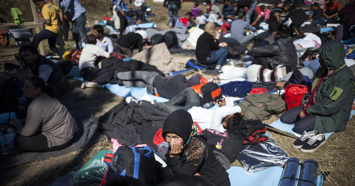 UNHCR outlines proposals to manage refugee and migration crisis in ...