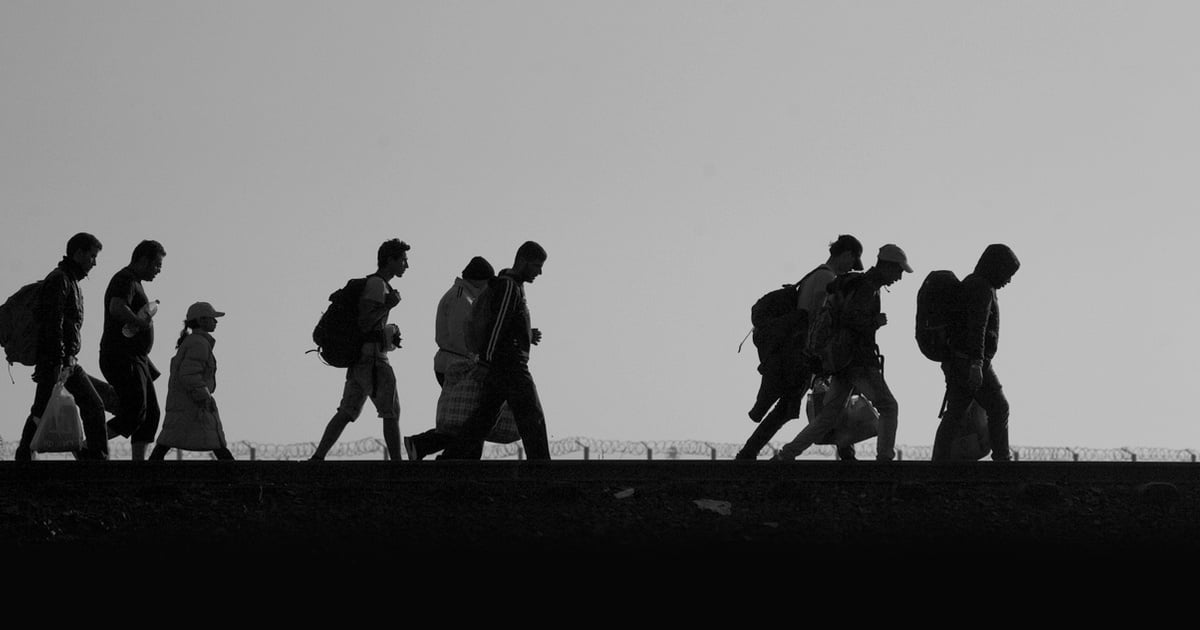 Global forced displacement hits record high | UNHCR