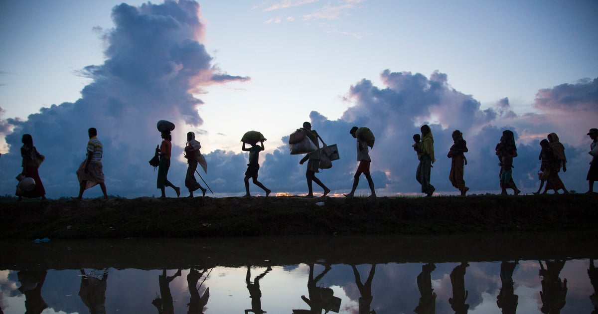 Asylum and migration | UNHCR