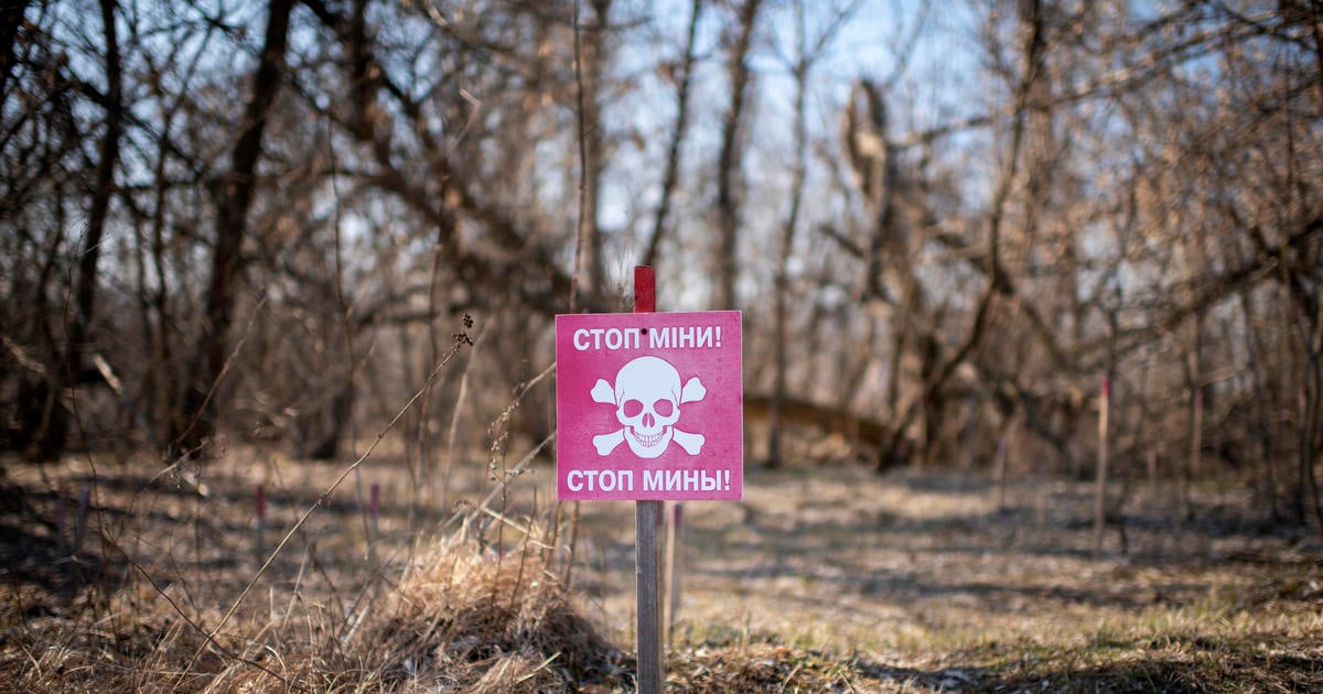 UNHCR says Ukraine landmine risk needs urgent action | UNHCR