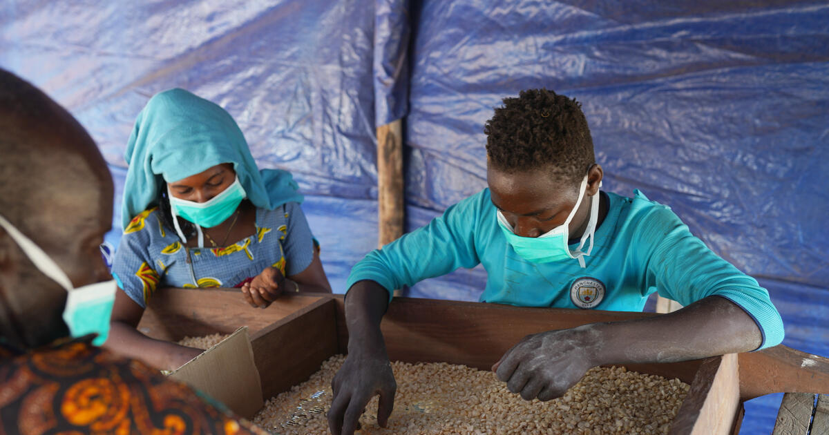 On World Food Day, UN calls for strengthened and inclusive local food ...