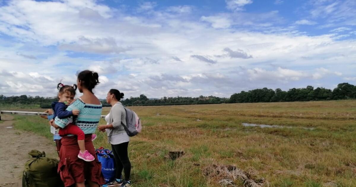 UNHCR releases new resource on asylum processing | UNHCR