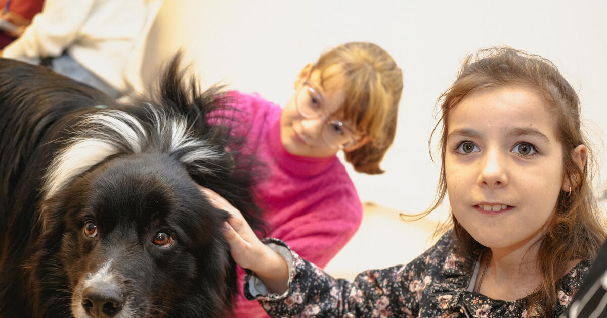 Un chien de compagnie aide les réfugiés ukrainiens à évacuer leur ...